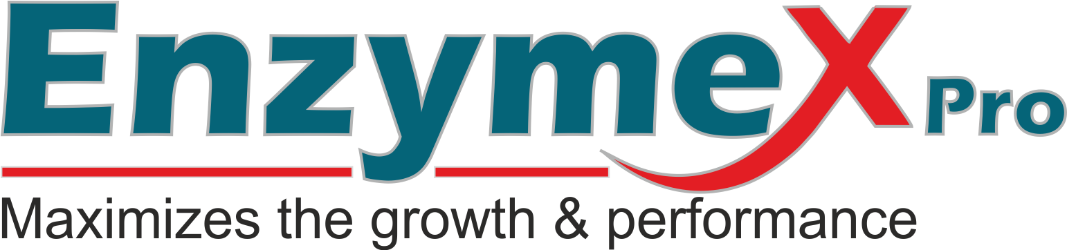 Enzymex Pro – Biochem Pharma